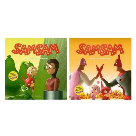 2 livres SamSam : Le concours de Papas et La maîtresse a disparu